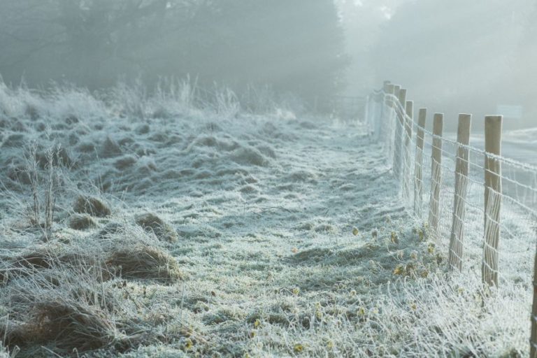 Les 10 Pays les Plus Froids du Monde