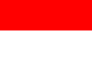 Les 21 Drapeaux de Pays Rouge et Blanc